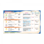 EPHmall-Lighthouse for Hong Kong Student’s Book | P1-P6